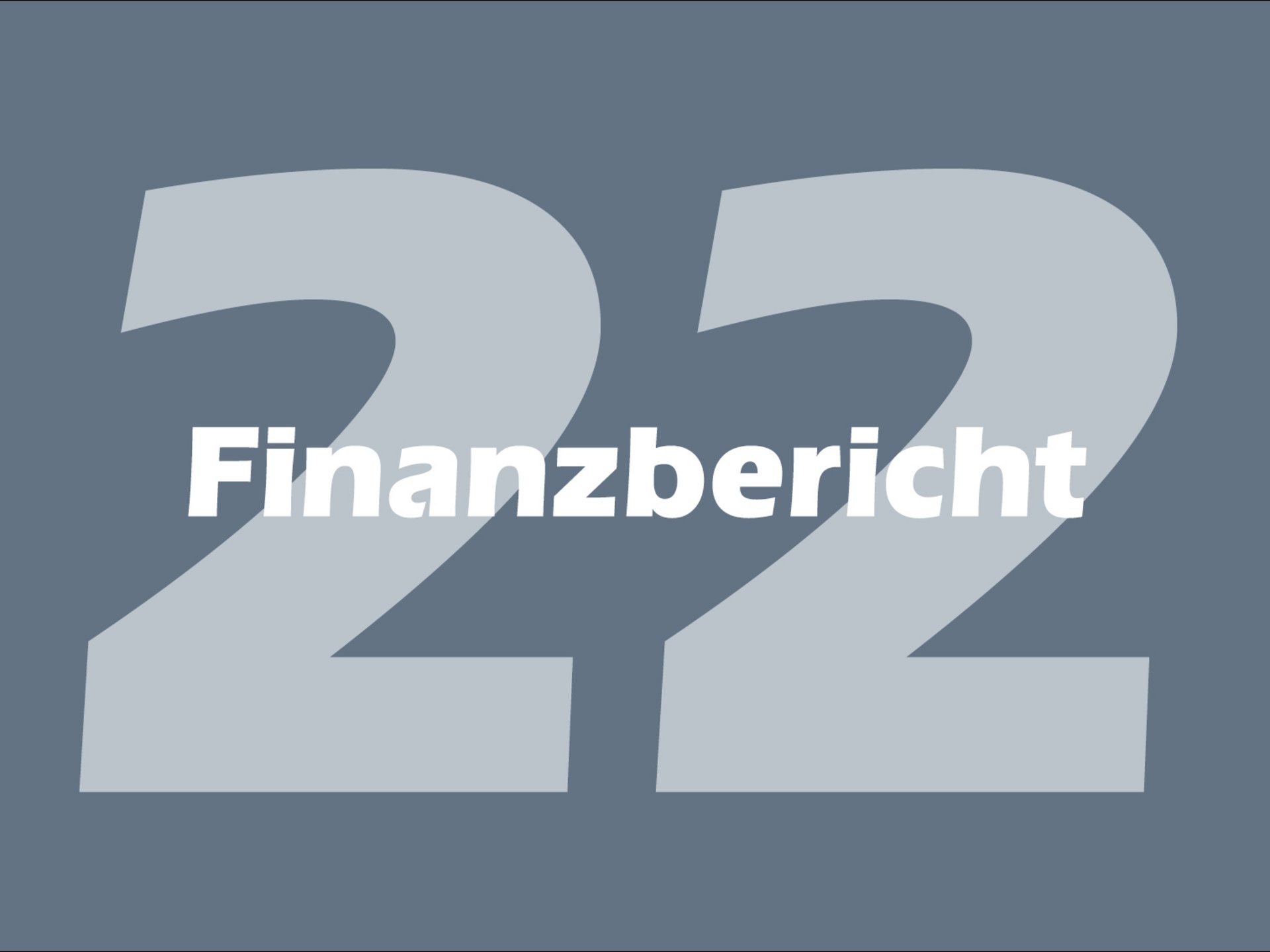 Finanzbericht 2022 der EMS-Gruppe